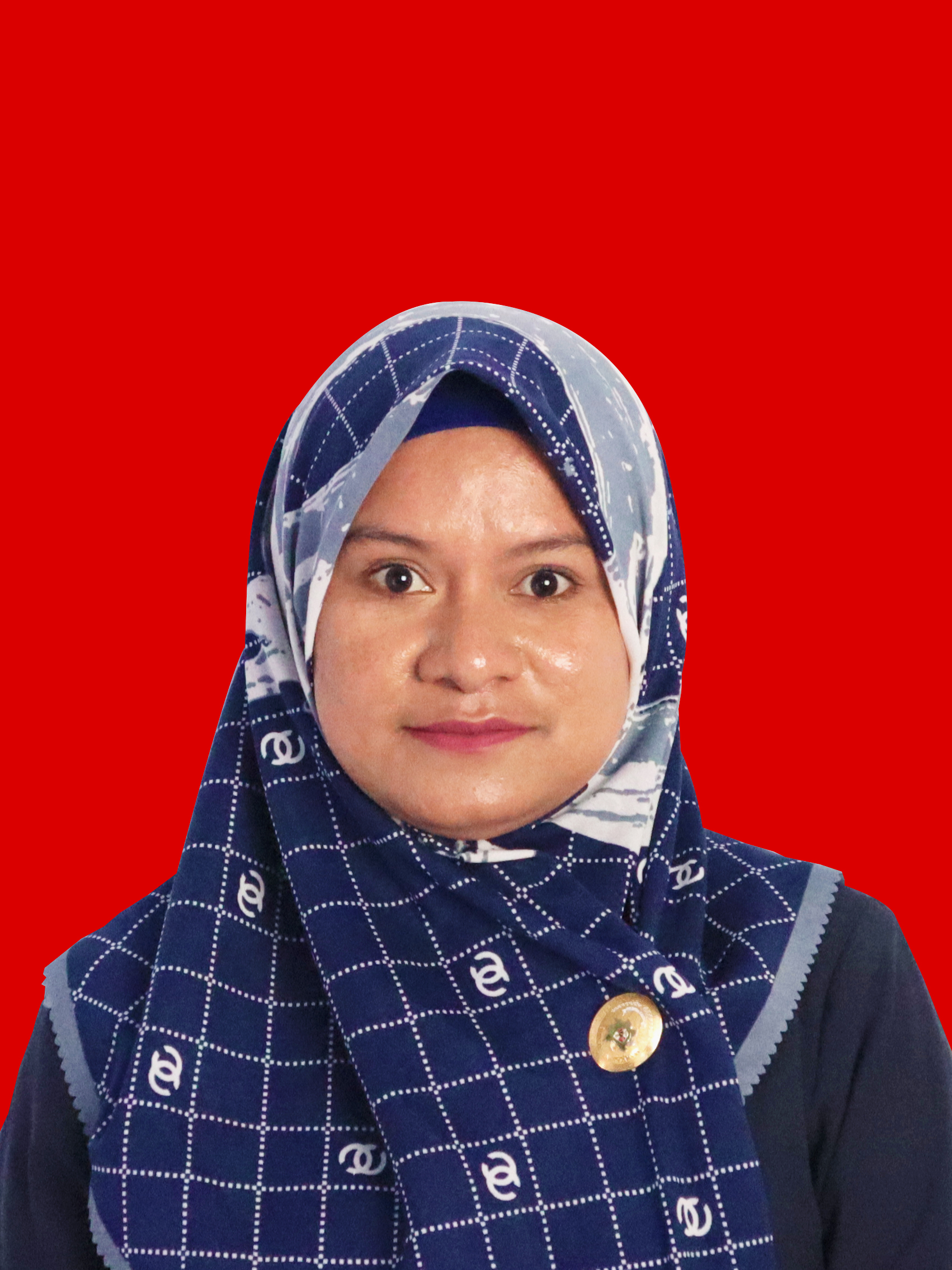 Website Pengadilan Negeri Baubau Kelas IB | Data Pegawai